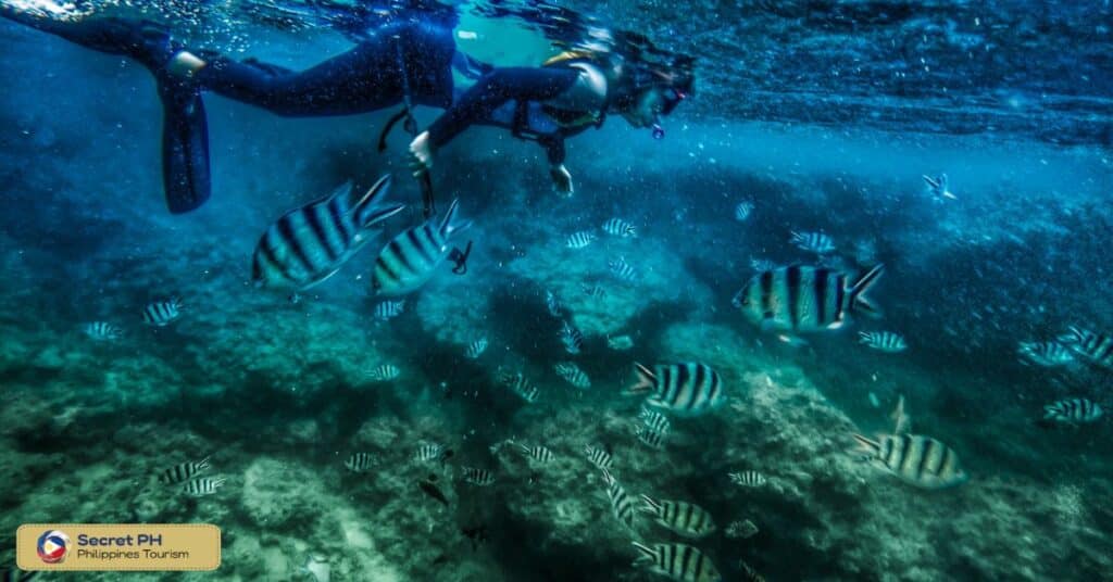 Dive into the World-Class Diving and Snorkeling in the Philippines ...