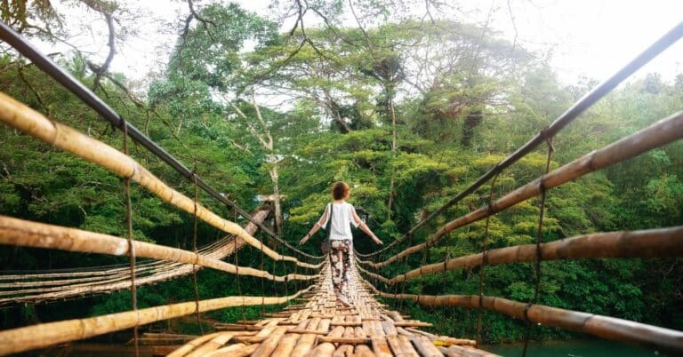 Wildlife-Watching in Bohol: A Journey through the Philippine Tarsier ...