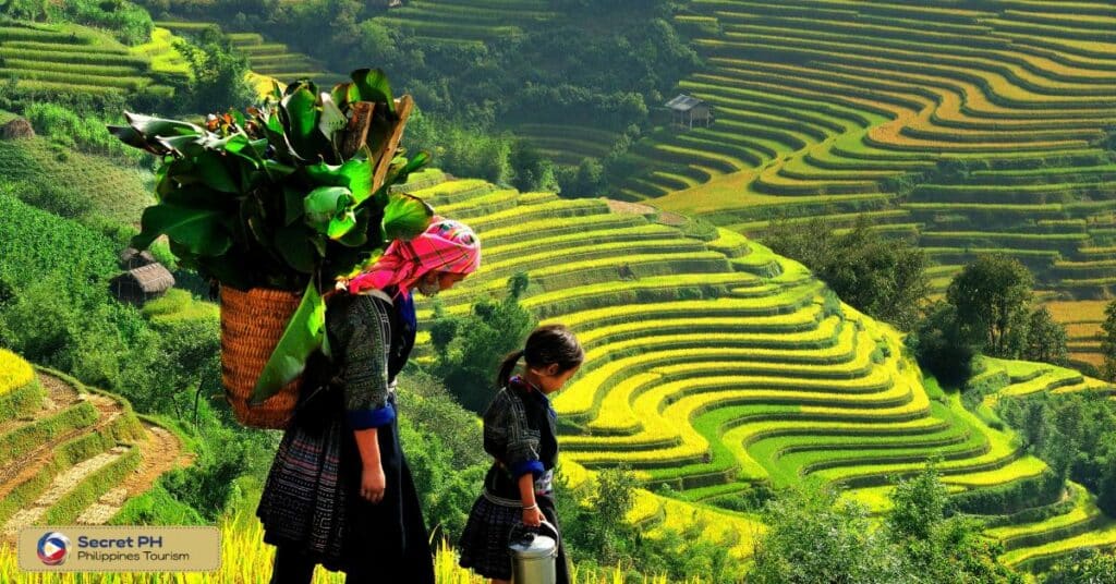 The Banaue Rice Terraces in Ifugao - Secret Philippines