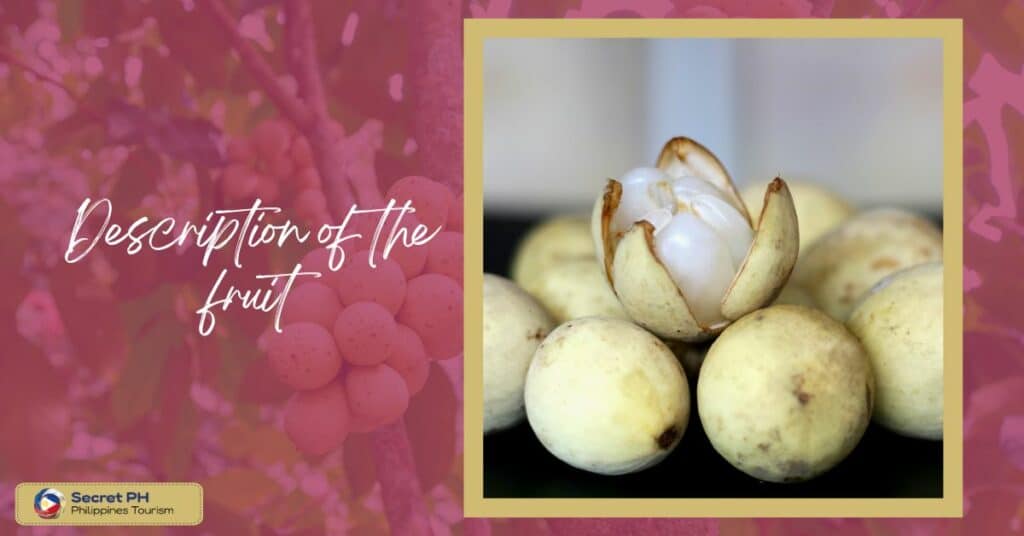 Taste the Sweetness of the Lanzones Festival - Secret Philippines