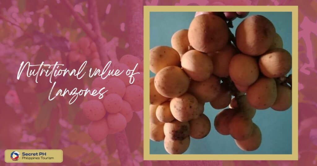 Taste the Sweetness of the Lanzones Festival - Secret Philippines