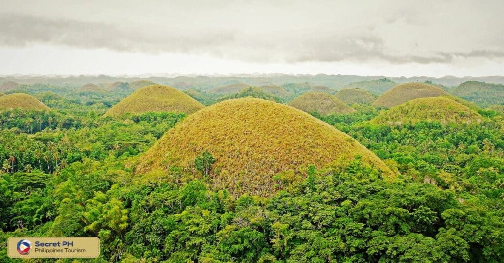The Breathtaking Chocolate Hills of Bohol: A Natural Landmark You Won't ...