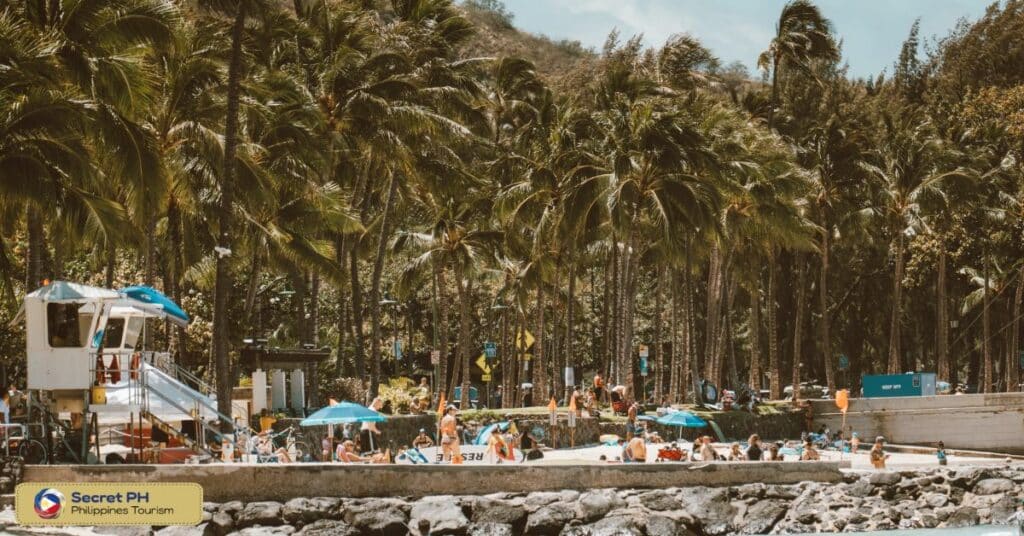 The Importance of Ecotourism in the Philippines: Balancing Nature ...