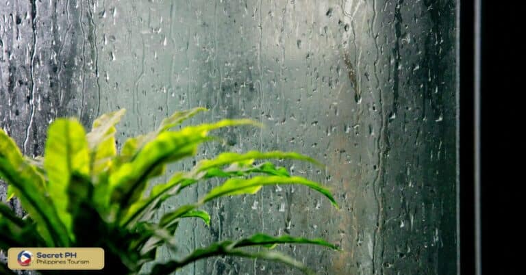 The Philippines' Unique Climate: Understanding the Interplay of Wet and ...