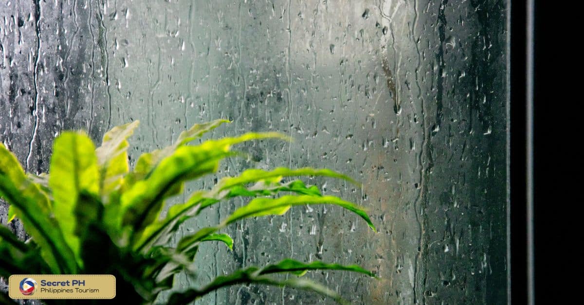 The Philippines Unique Climate Understanding The Interplay Of Wet And The Philippines Unique Climate Understanding The Interplay Of Wet And