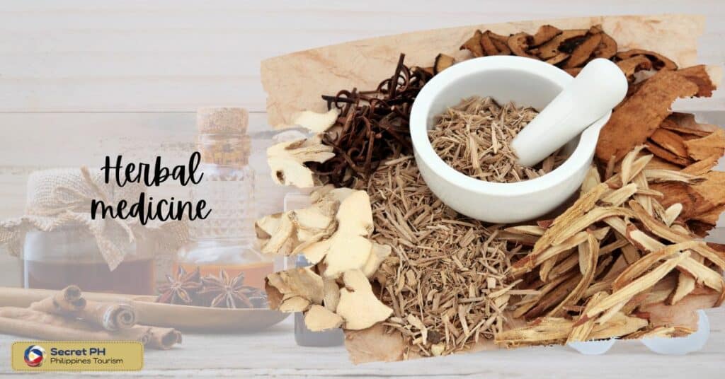 Experience the Healing Power of Philippine Traditional Medicine ...