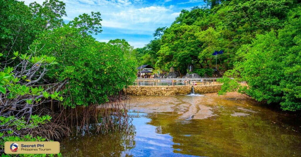 Relax and Rejuvenate with a Visit to a Philippine Hot Spring Resort ...