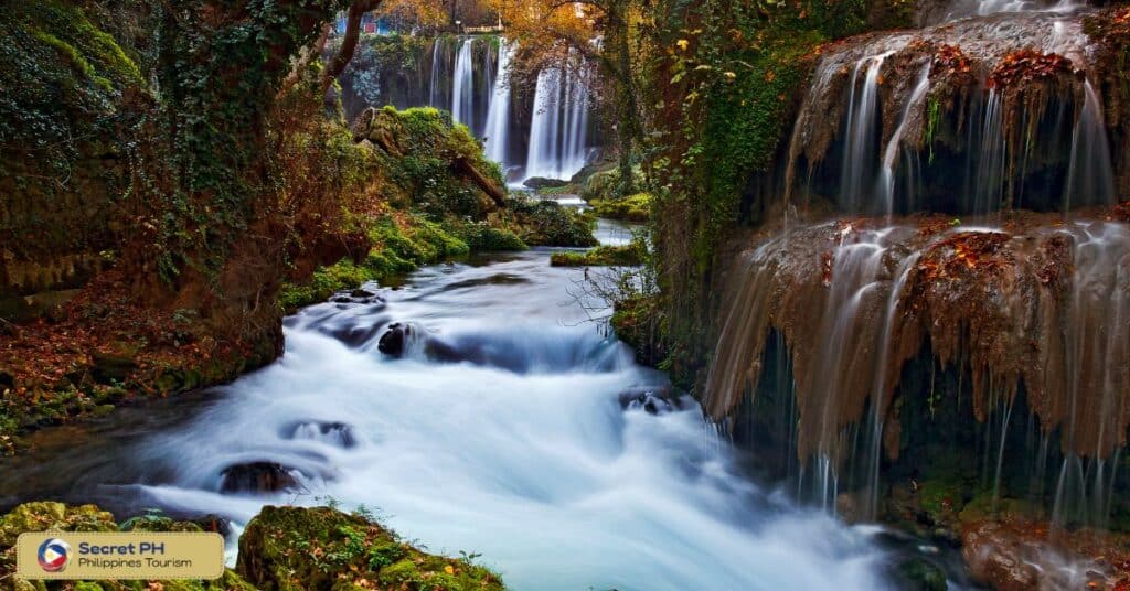 The Top 11 Philippine Nature and Wildlife Activities and Adventures ...