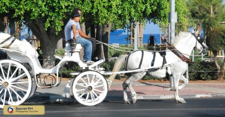 Discovering the Charm of the Kalesa: A Traditional Mode of ...