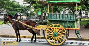 Discovering the Charm of the Kalesa: A Traditional Mode of ...