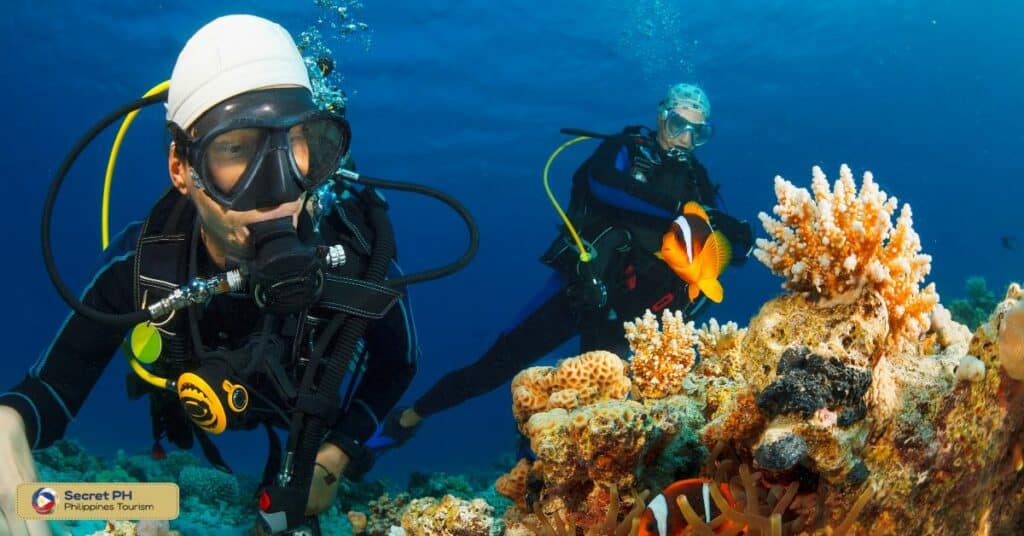 Best Spots for Scuba Diving in the Philippines - Secret Philippines