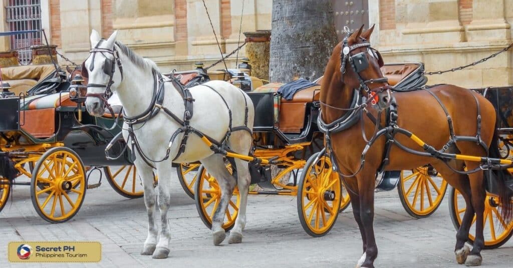 Discovering the Charm of the Kalesa: A Traditional Mode of ...