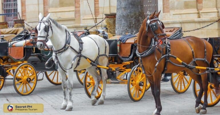 Discovering the Charm of the Kalesa: A Traditional Mode of ...