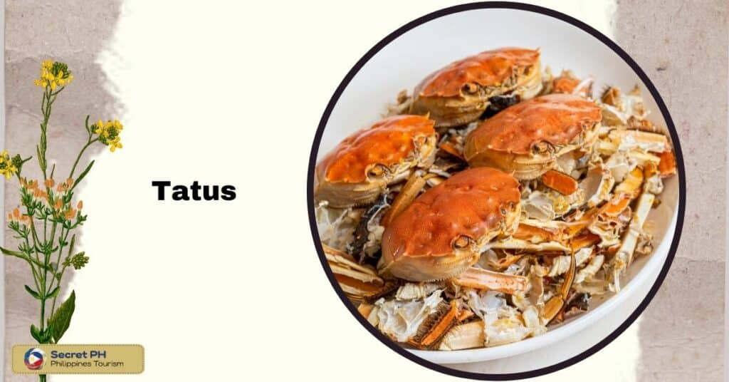 Exploring the Culture of Batanes - Secret Philippines