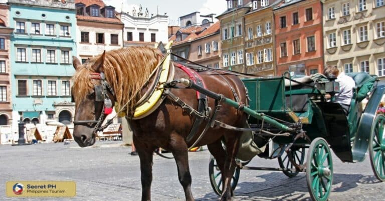 Discovering the Charm of the Kalesa: A Traditional Mode of ...