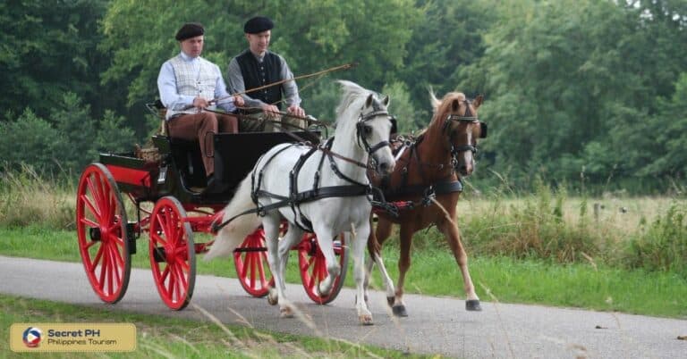 Discovering the Charm of the Kalesa: A Traditional Mode of ...