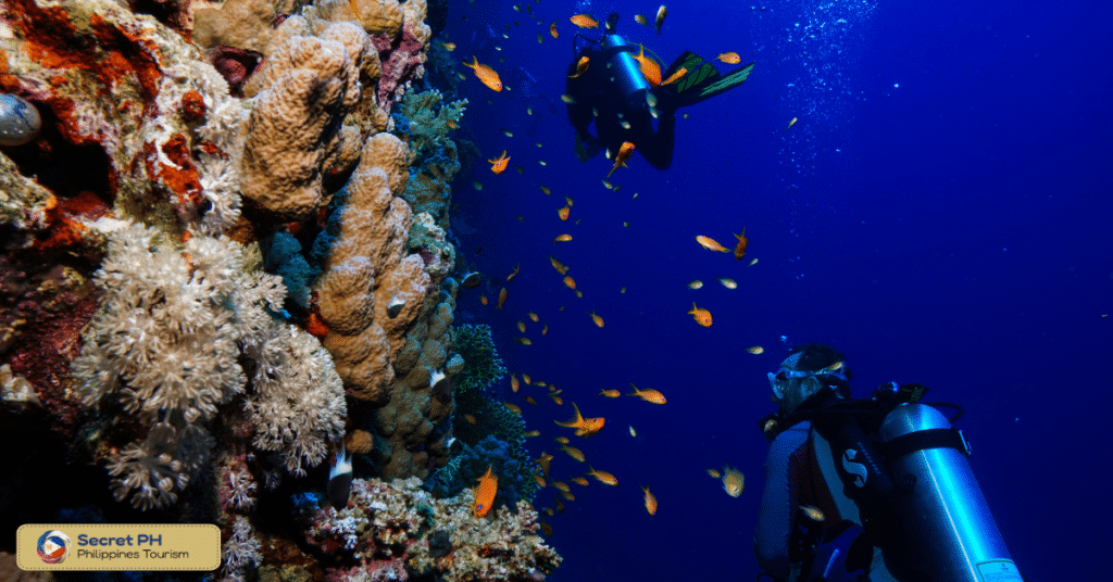 Best Spots for Scuba Diving in the Philippines - Secret Philippines