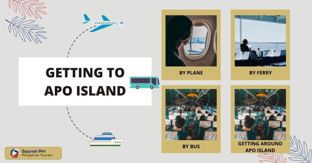 Discovering the Tranquility of Apo Island - Secret Philippines