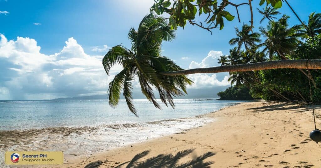 A Guide to the Unspoiled Charm of Biri Island - Secret Philippines