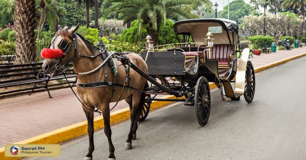 From Horse-Drawn Carriages to Modern Buses: The Evolution of Philippine ...