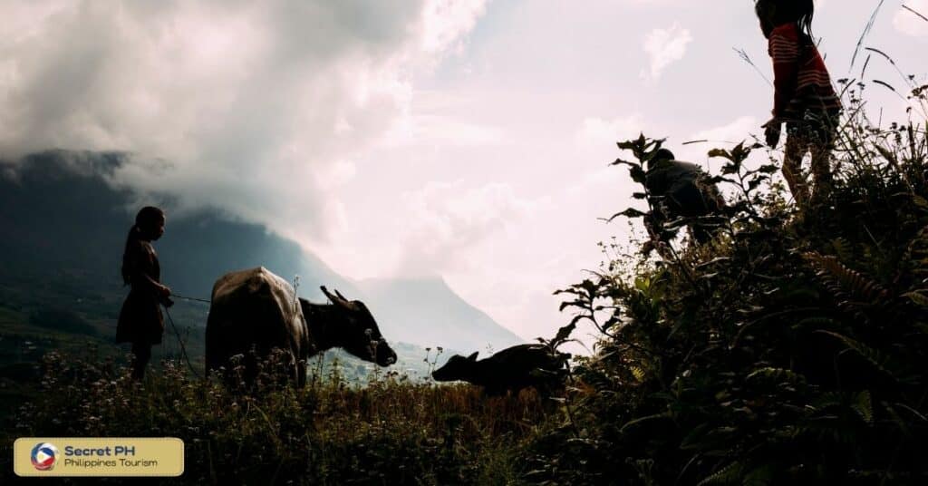 Emergency Services in Rural Areas: Bridging the Gap in the Philippines ...