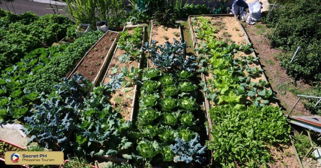 From Garden to Plate: Filipino Restaurants with Farm-to-Table Menus ...