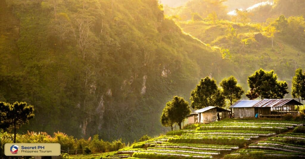 The Importance of Ancestral Domain and Heritage at the T'boli Festival ...