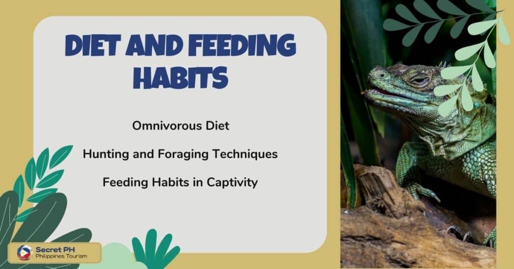 Philippine Sailfin Lizard: The Giant Lizard of the Philippine Islands ...