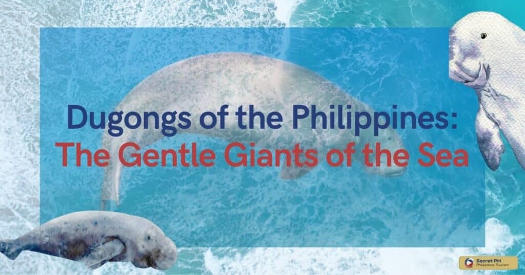 Dugongs of the Philippines: The Gentle Giants of the Sea - Secret ...