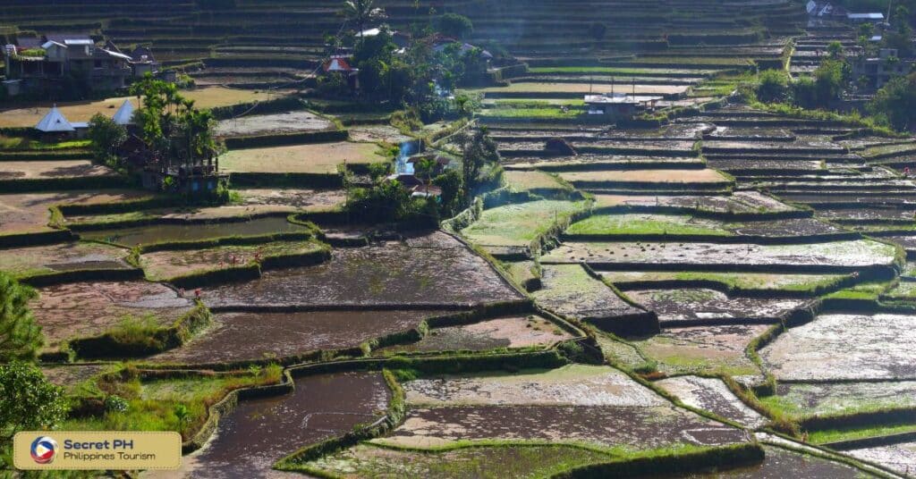 A Guide to Understanding the Climate of the Philippines - Secret ...