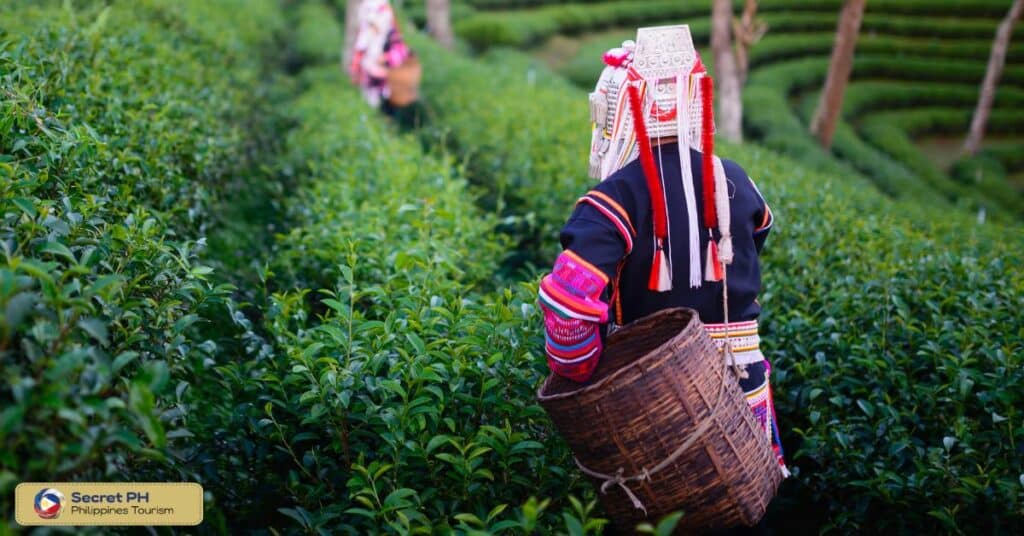 The Importance of Ancestral Domain and Heritage at the T'boli Festival ...