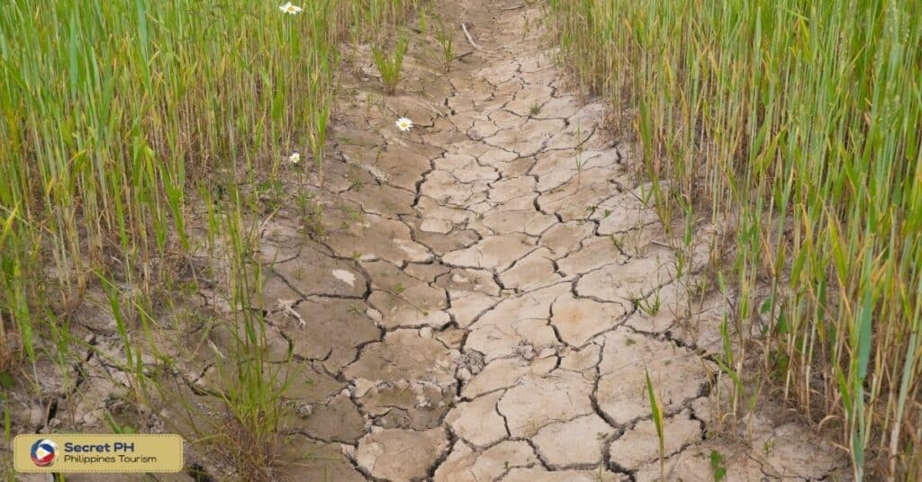 The Philippines' Weather and Its Influence on Agriculture and ...