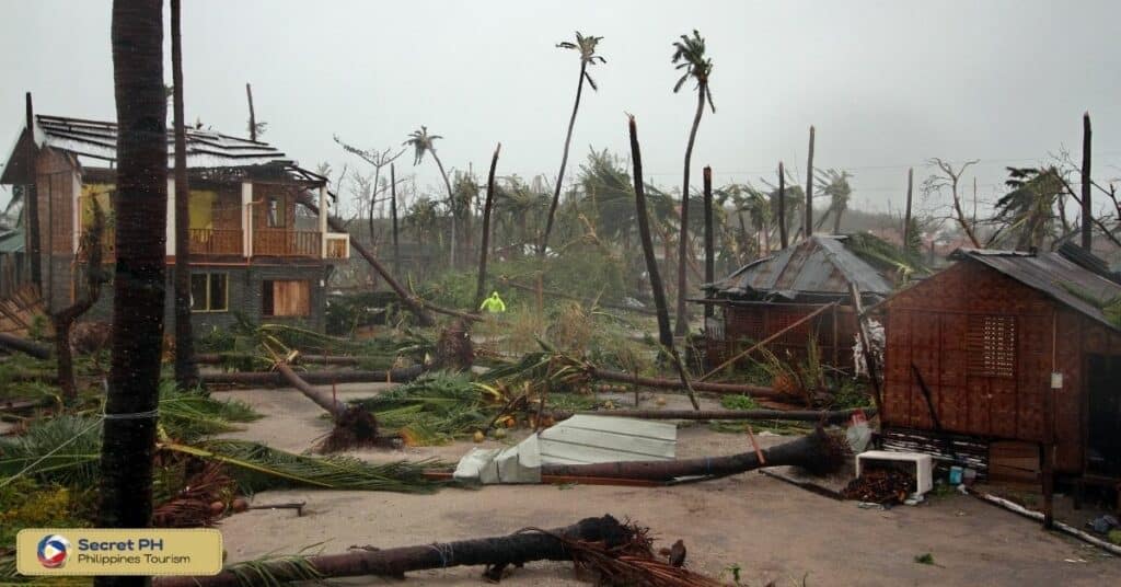 Weathering the Storm: A Look at the Philippines' Resilience in Natural ...