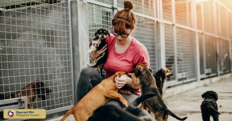 Emergency Services for Animals in the Philippines: Who to Call - Secret ...