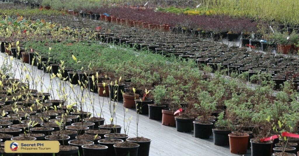 The Serenity and Charm of the Philippine Botanical Gardens: A Haven for ...