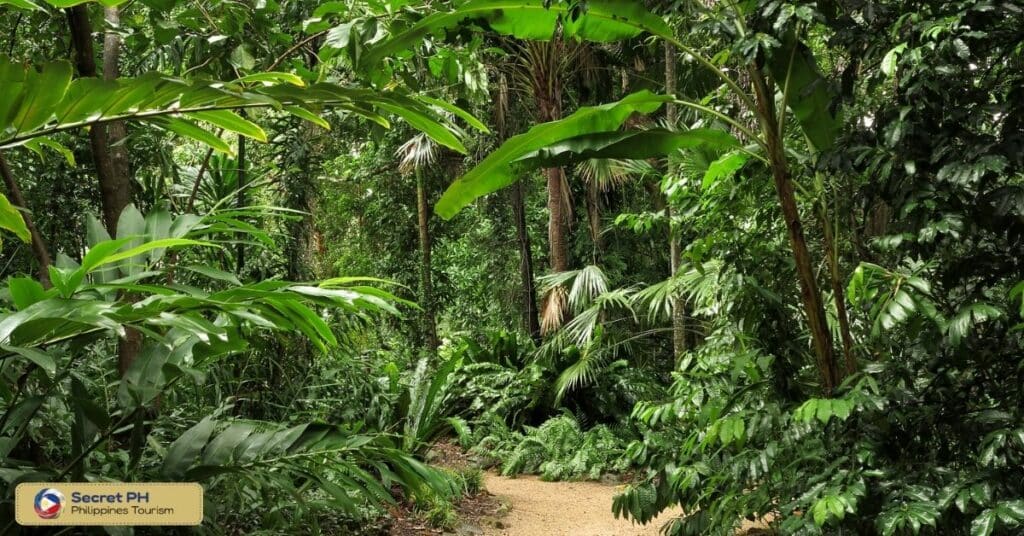 The Serenity and Charm of the Philippine Botanical Gardens: A Haven for ...