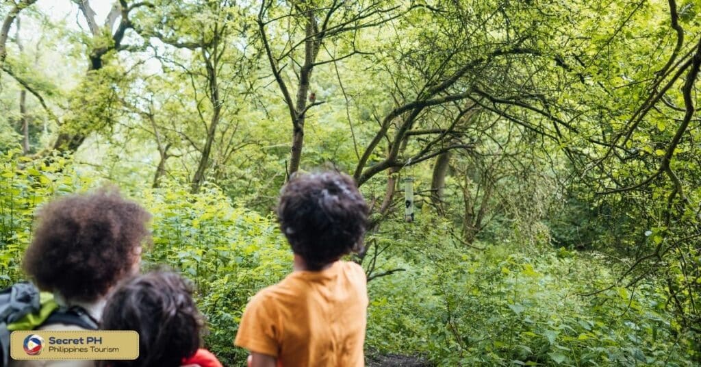 The Tranquil and Serene Ambiance of Mount Makiling Forest Reserve ...