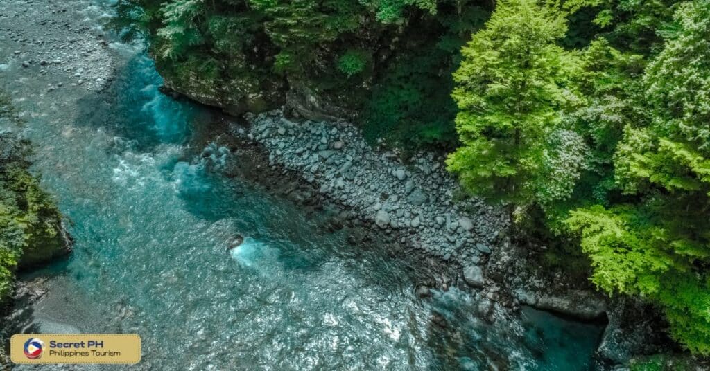 The Biodiversity and Conservation of the Apayao River Basin Protected ...