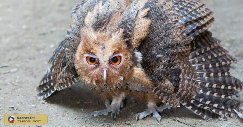 The Tranquil and Serene Ambiance of Mount Makiling Forest Reserve ...