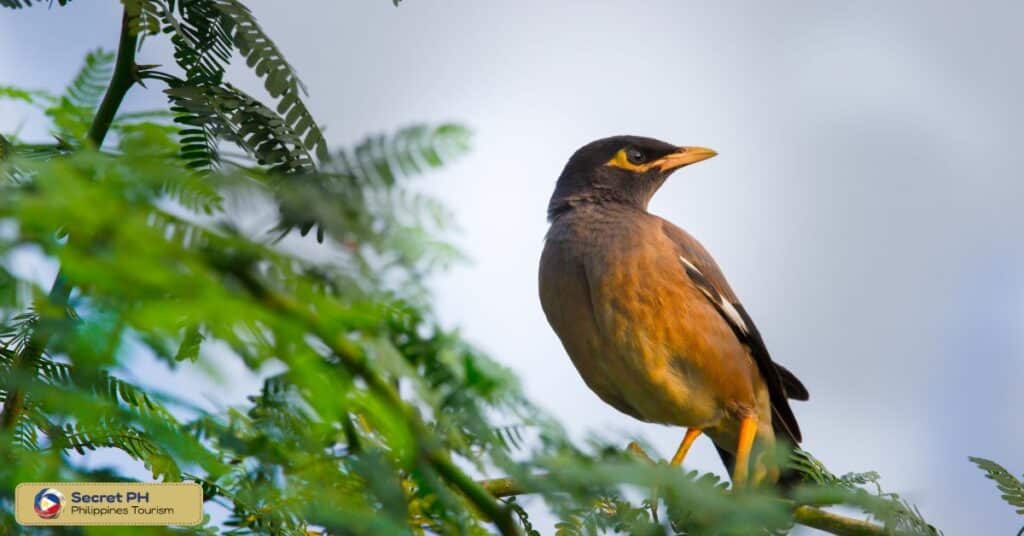 The Natural Wonders of the Batanes Islands: A Unique Landscape of the ...