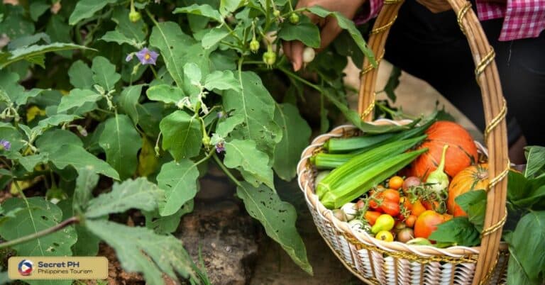 A Culinary Adventure in the Visayas: Exploring Local Cuisine and ...