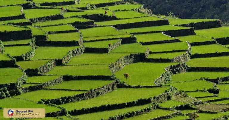 Cultural Events and Performances in Abra That Showcase Local Traditions ...