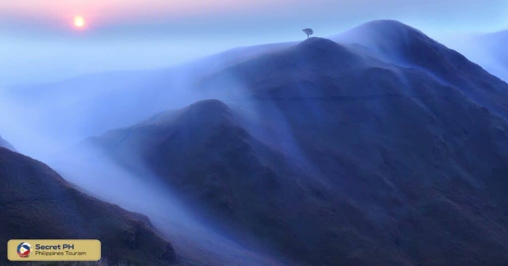 The Breathtaking Beauty of Mount Pulag: The Tallest Peak in Luzon ...