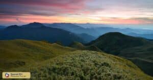 As a result, the Mount Pulag National Park works closely with these ...
