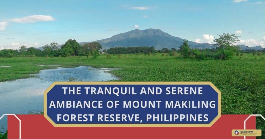 The Tranquil and Serene Ambiance of Mount Makiling Forest Reserve ...