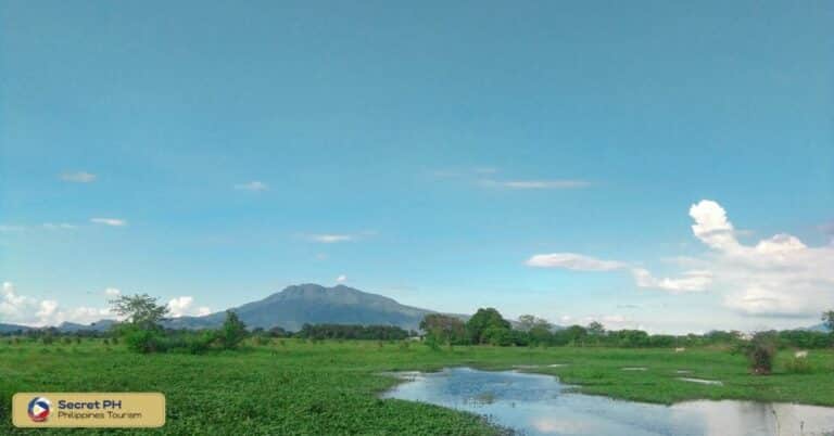 The Tranquil and Serene Ambiance of Mount Makiling Forest Reserve ...