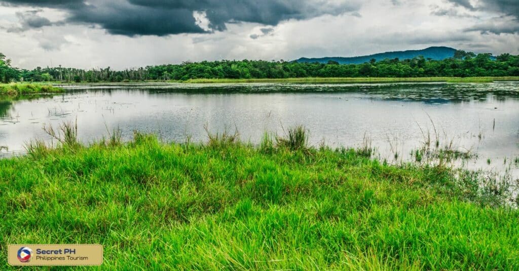 Adventure Guide To Abra River Wildlife Sanctuary - Secret Philippines