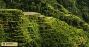 Tinglayan Rice Terraces: A Hidden Gem of Kalinga - Secret Philippines